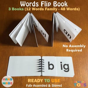 Words Flip Book, CVC Rhyming Words, Word Family Reading Practice ...