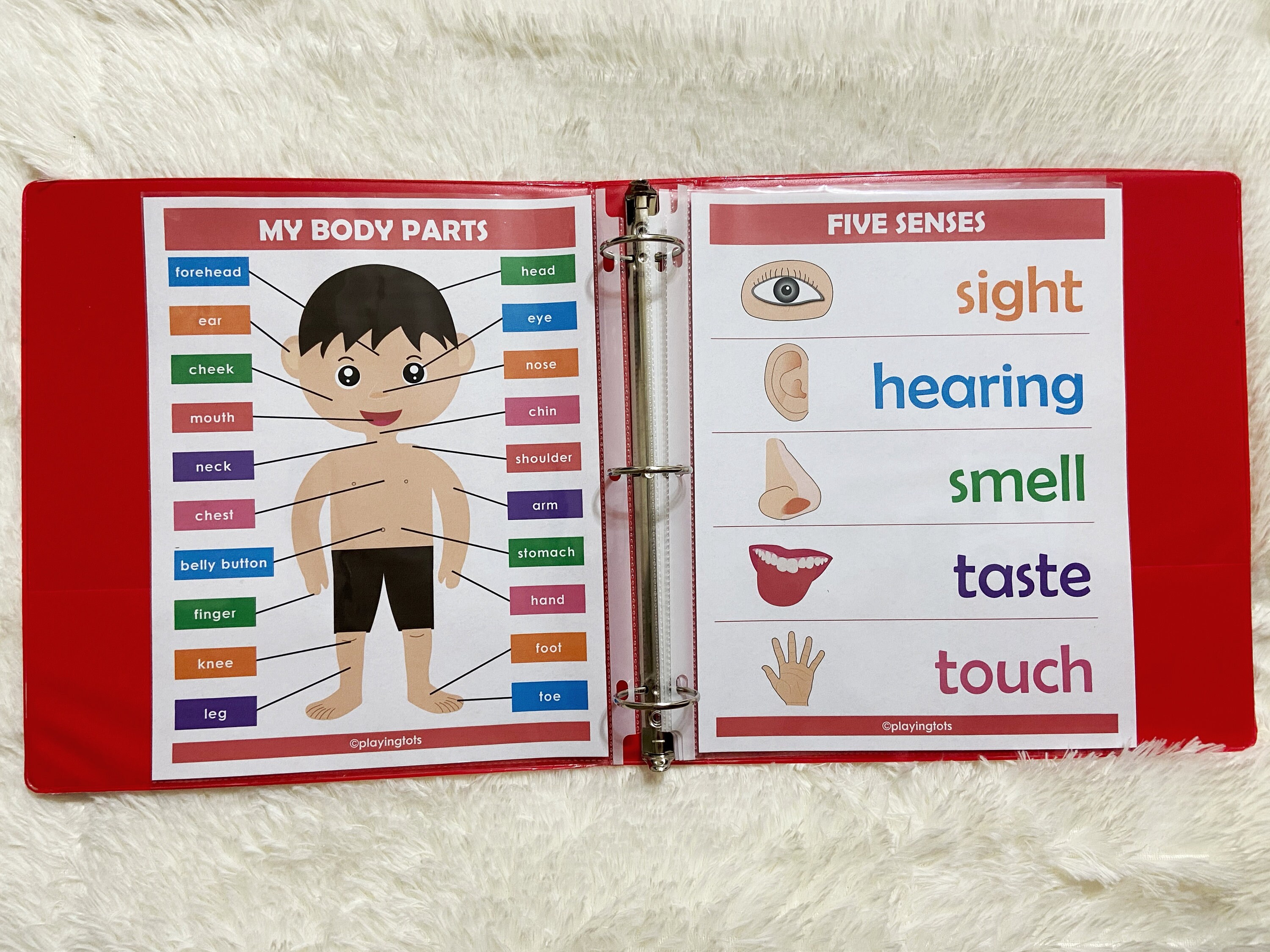 Toddler Learning Book Printable Educational Wall Posters - Etsy