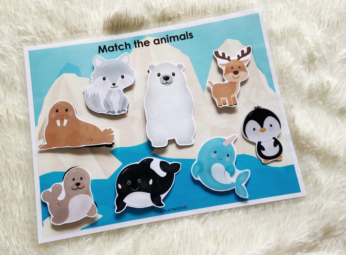 Arctic Animals Toddler Busy Book Printable Learning Binder - Etsy