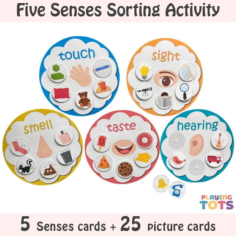 Five Senses Sorting Activity Printable, 5 Senses Sorting, Homeschool ...