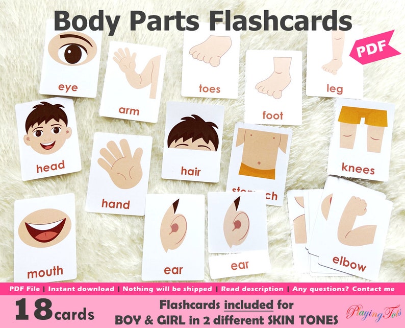 Body Parts Flashcards Printable, Montessori 3 Part Cards, Toddler ...