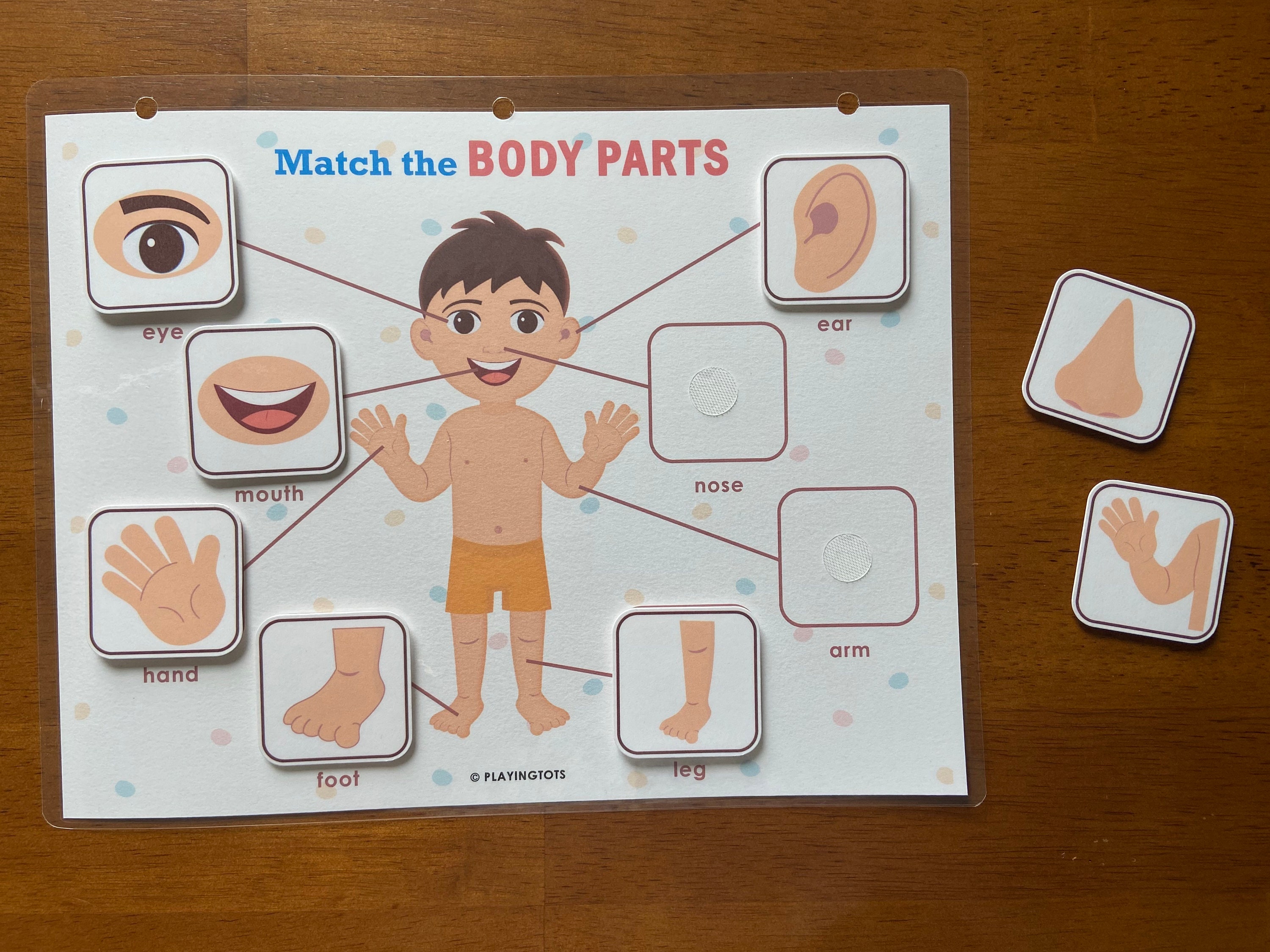 Body Parts Printable Pack for Toddlers, Toddler Busy Book, Learning ...
