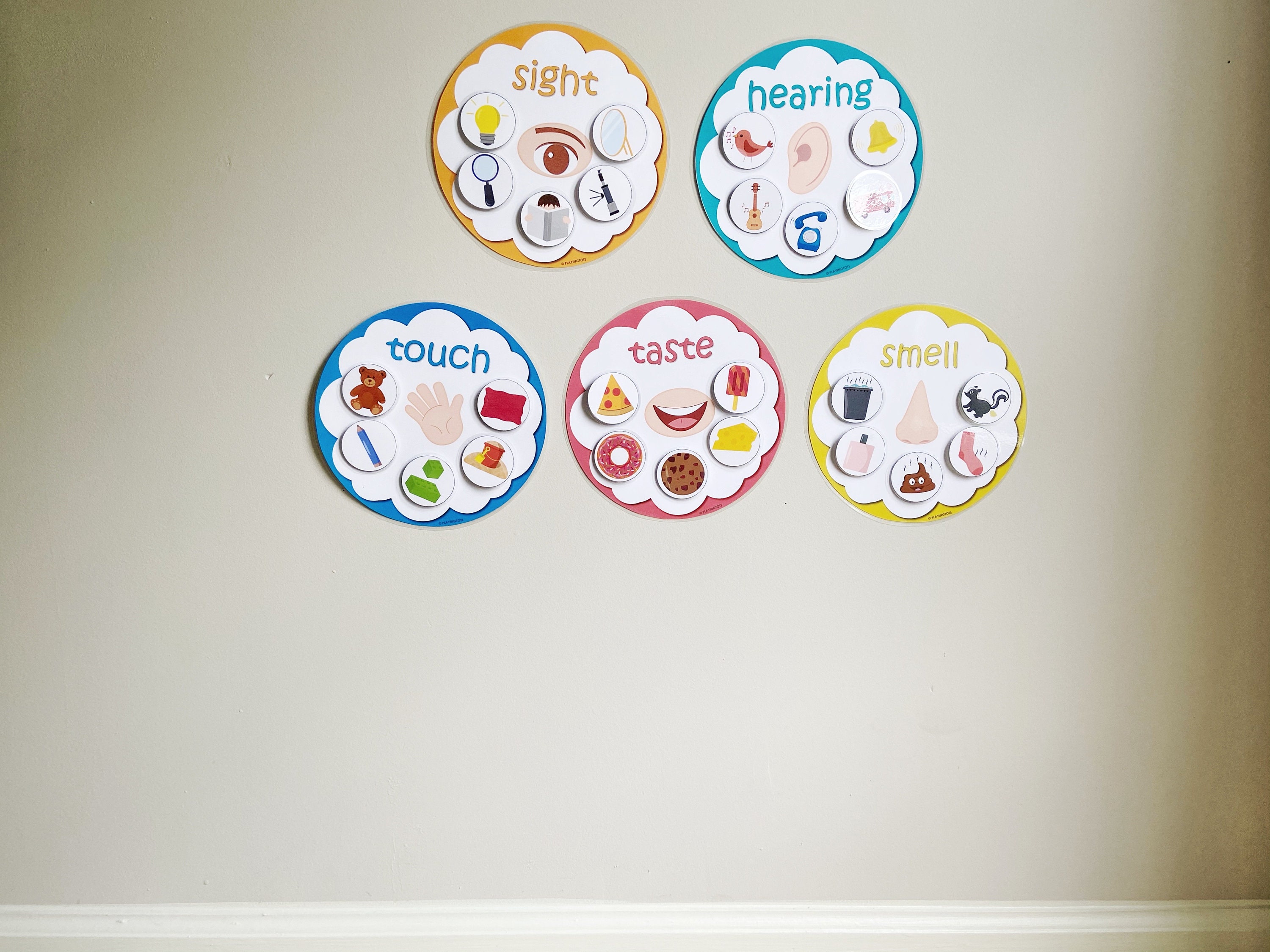 Five Senses Sorting Activity Printable 5 Senses Sorting | Etsy