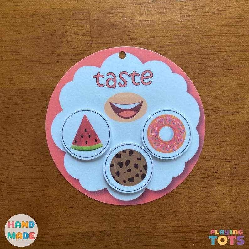 Five Senses Sorting Activity, Fully Assembled, Toddlers, Preschool, Pre ...
