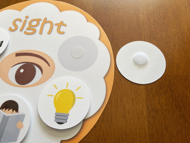 Five Senses Sorting Activity Fully Assembled Learn 5 Senses Etsy