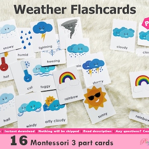 Weather Flashcards Printable Montessori 3 Part Cards Toddler - Etsy