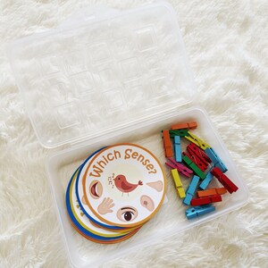 Five Senses Match and Clip Activity Printable, 5 Senses Matching ...