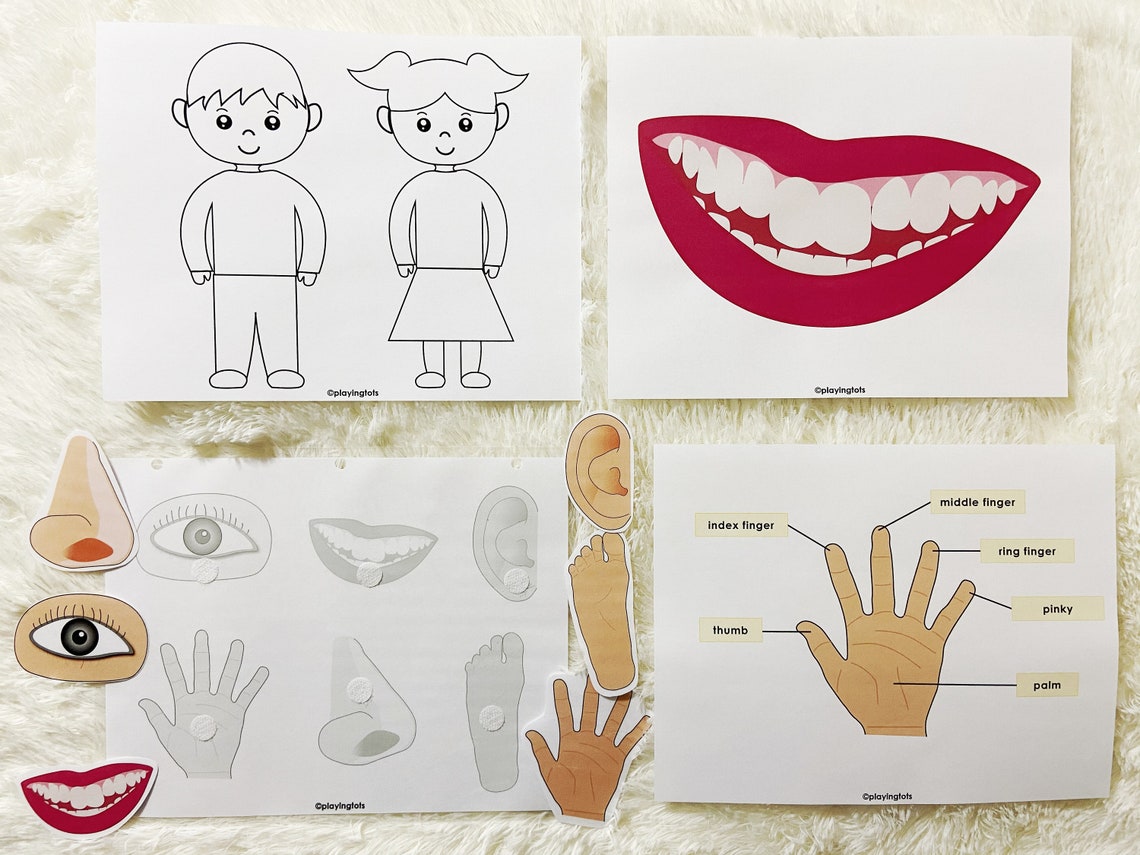 Body Parts Printable Pack for Toddlers Toddler Busy Book | Etsy