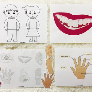 Body Parts Printable Pack for Toddlers, Toddler Busy Book, Learning ...