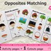 Busy Book Printable Worksheet Preschool Matching Activities - Etsy