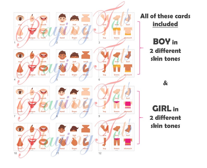 Body Parts Flashcards Printable Montessori 3 Part Cards - Etsy