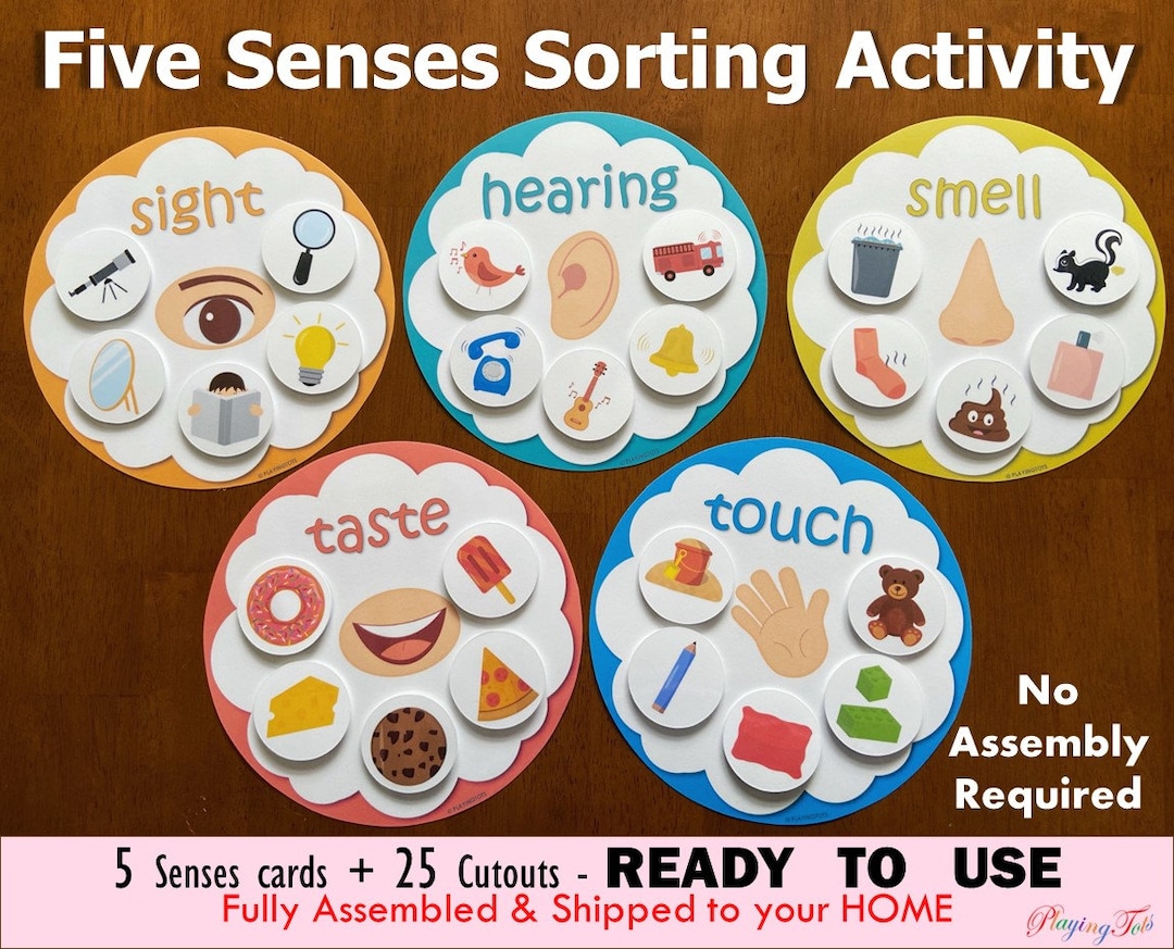 Buy Five Senses Sorting Activity Fully Assembled Learn 5 Senses Online Buy Five Senses Sorting Activity Fully Assembled Learn 5 Senses Online