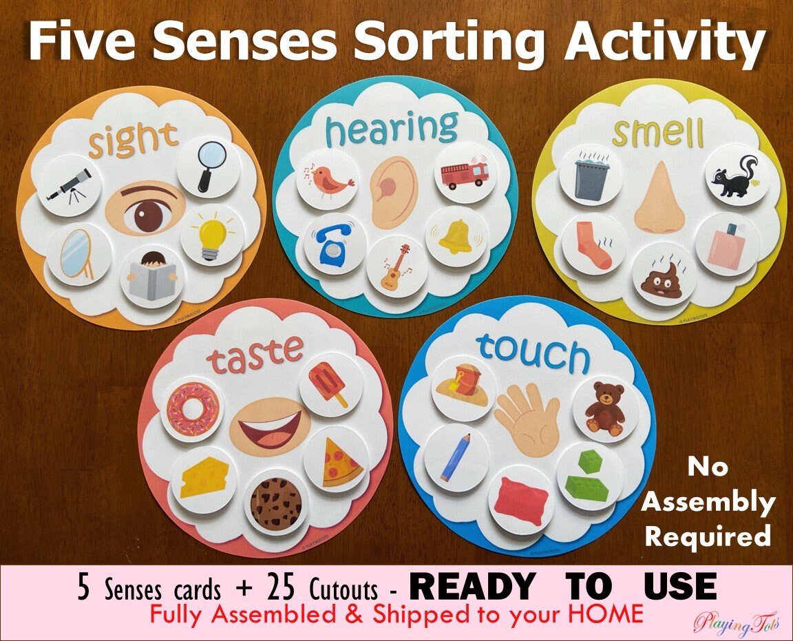 Five Senses Sorting Activity Printable Senses Sorting Five Senses Sorting Activity Printable Senses Sorting