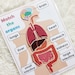 Body Organs Matching Activity Printable for Kids, Human Anatomy ...