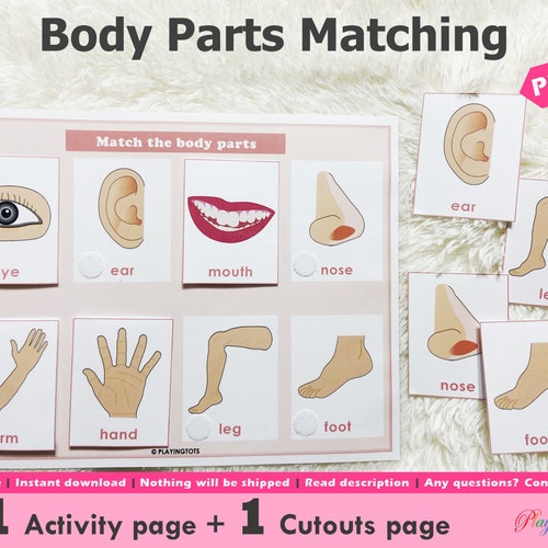 Body Parts Matching Activity Printable Toddler Busy Book - Etsy