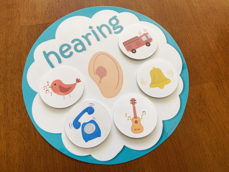 Five Senses Sorting Activity Fully Assembled Learn 5 Senses Etsy