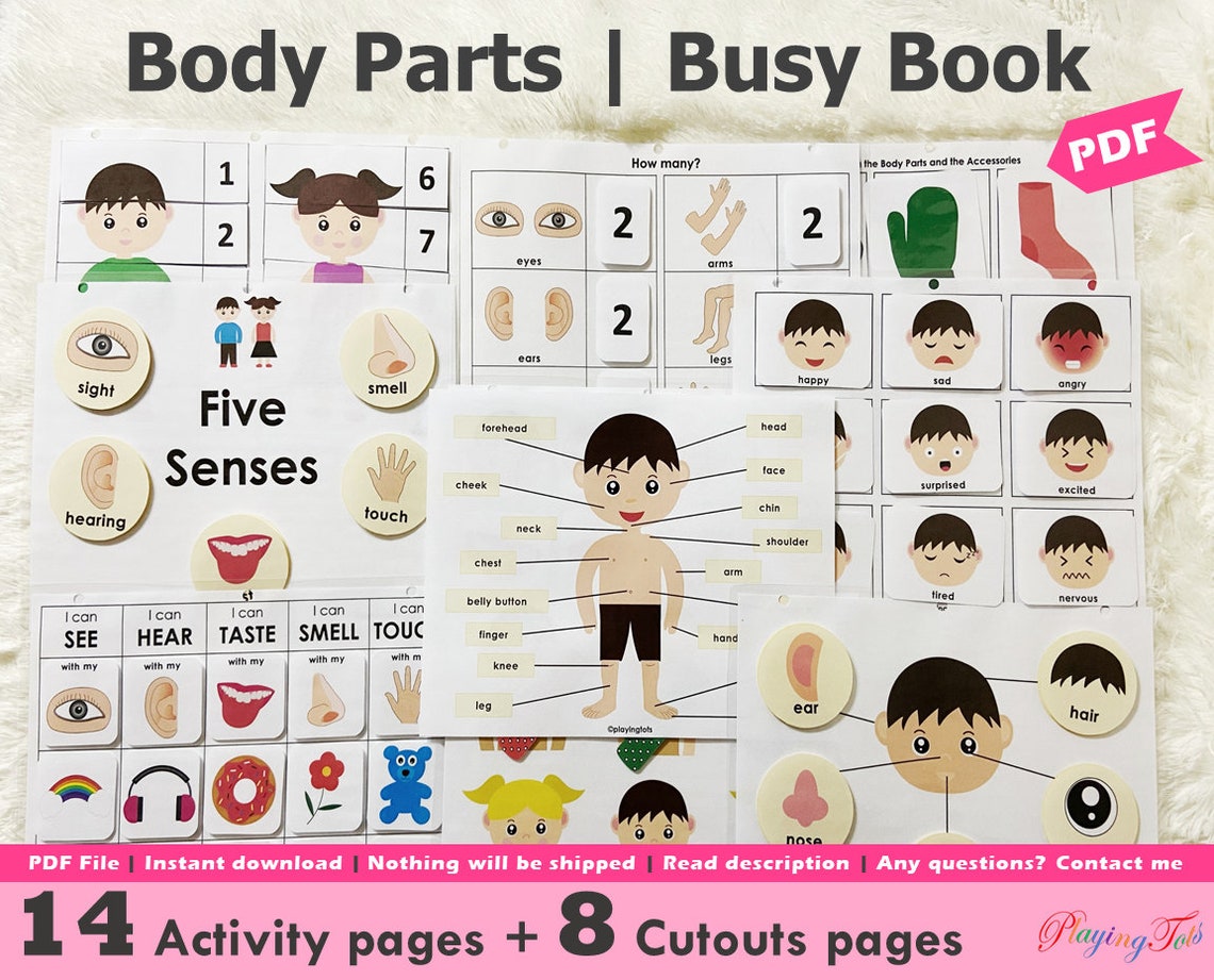 Body Parts Printable Pack for Toddlers Toddler Busy Book | Etsy Canada