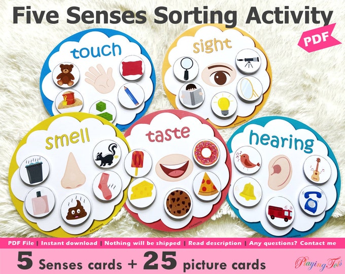 Toddler Five Senses Activities - Sorting - Learning - Matching - Busy ...