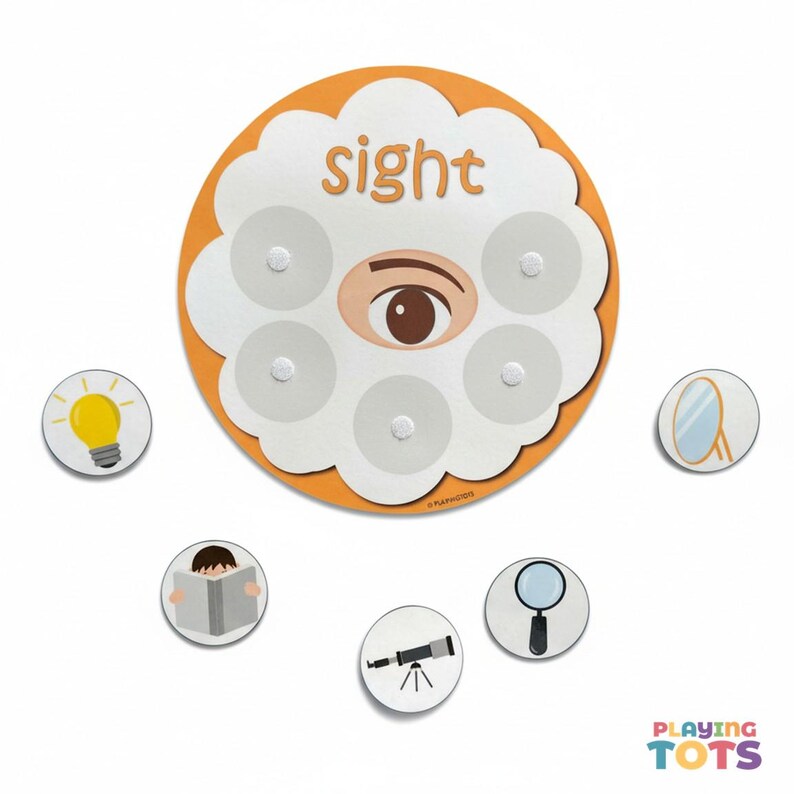 Five Senses Sorting Activity Printable, 5 Senses Sorting, Homeschool ...