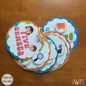 Five Senses Sorting Activity, Fully Assembled, Toddlers, Preschool, Pre ...