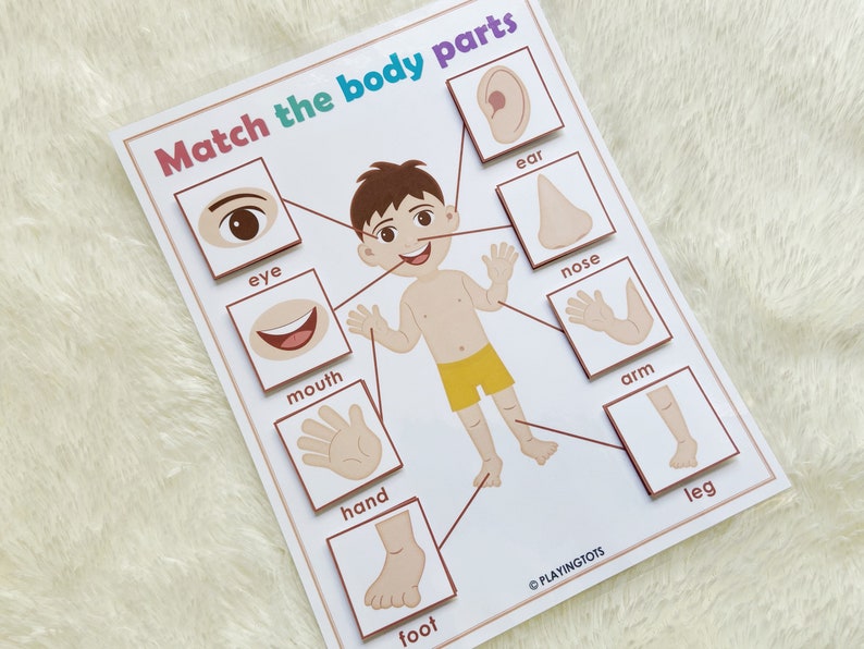Body Parts Matching Activity Printable Toddler Busy Book - Etsy