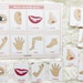 Body Parts Matching Activity Printable Toddler Busy Book - Etsy