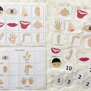 Body Parts Printable Pack for Toddlers, Toddler Busy Book, Learning ...