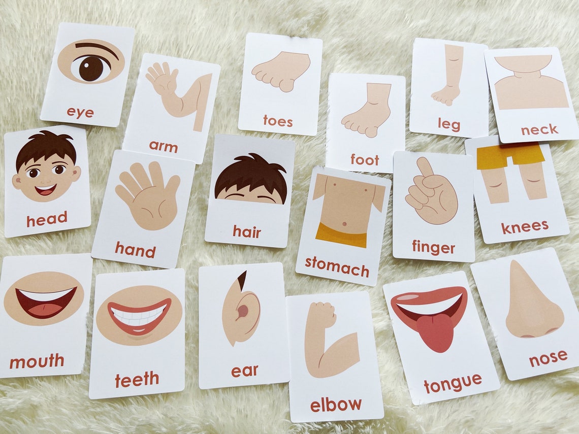 Body Parts Flashcards Printable Montessori 3 Part Cards - Etsy