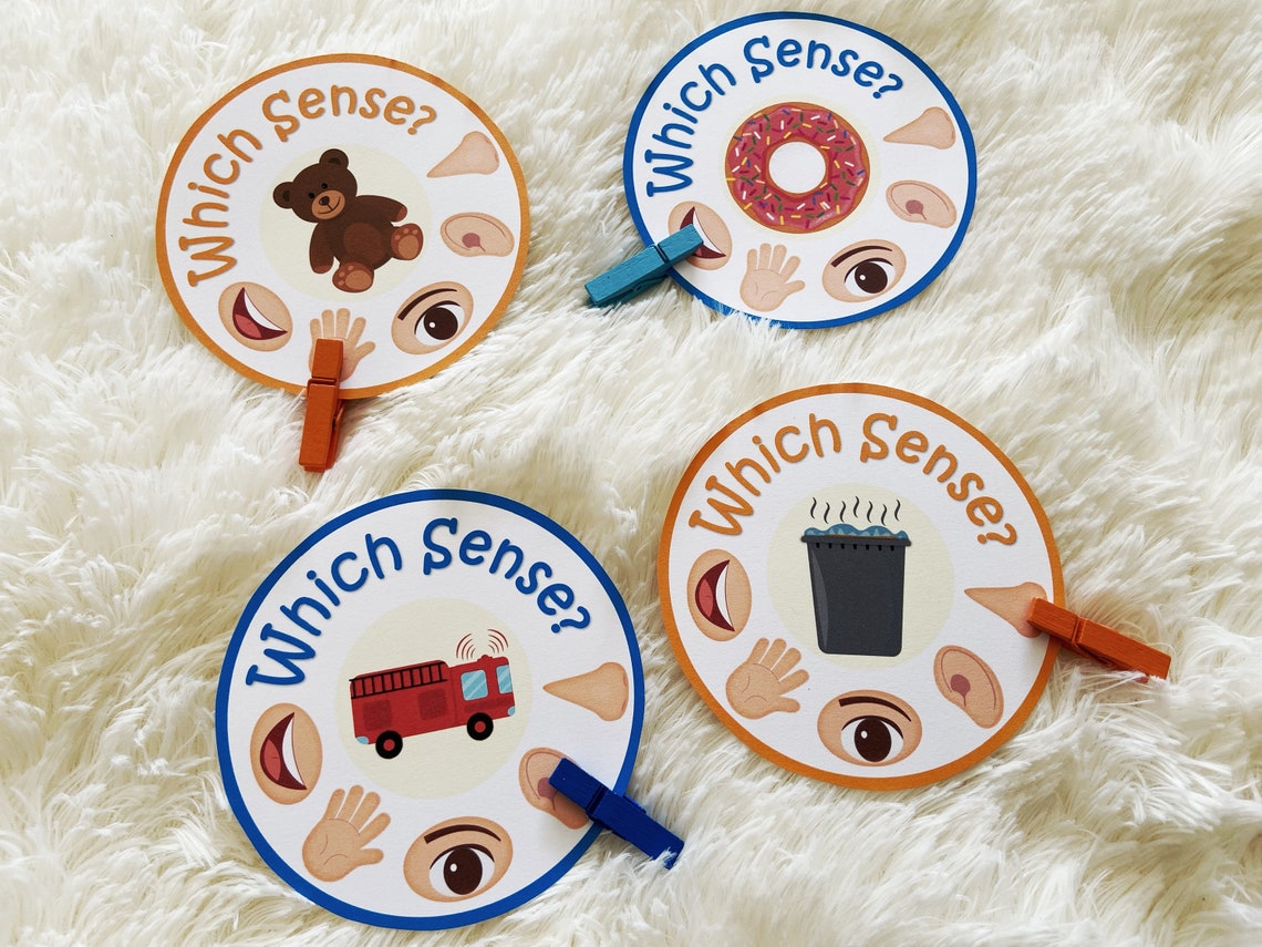 Five Senses Match and Clip Activity Printable 5 Senses - Etsy