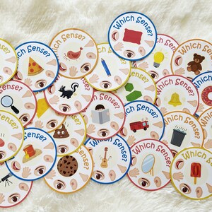 Five Senses Match and Clip Activity Printable, 5 Senses Matching ...