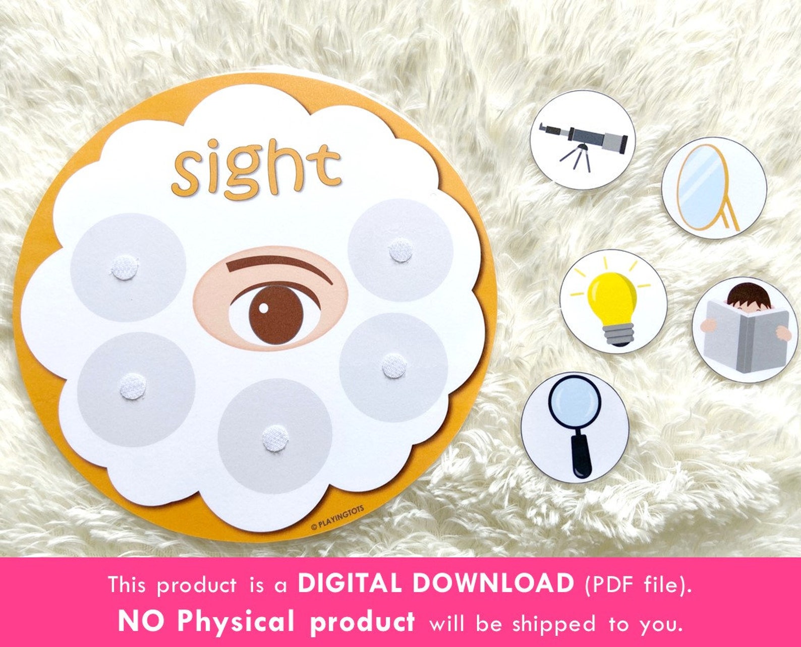 Five Senses Sorting Activity Printable, 5 Senses Sorting, Homeschool ...