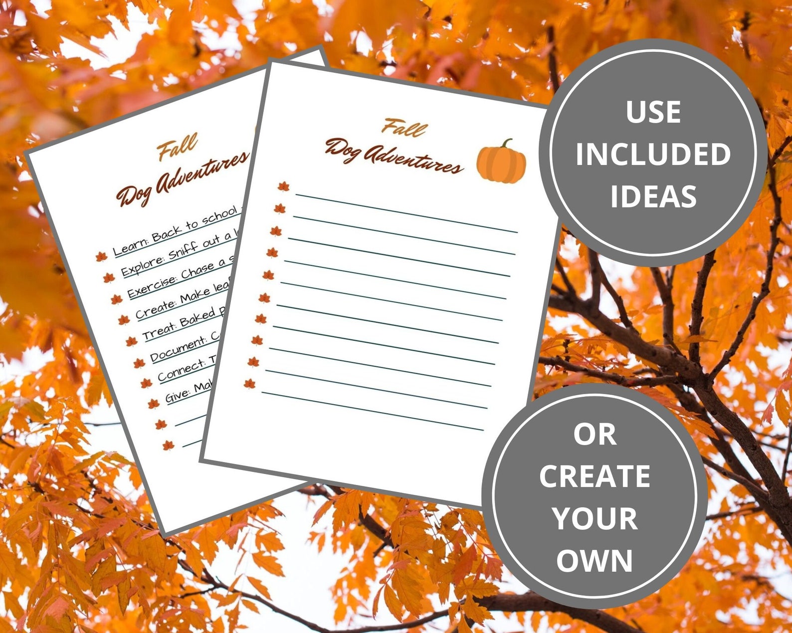 FALL Dog Bucket List Adventure Activities Digital Download | Etsy
