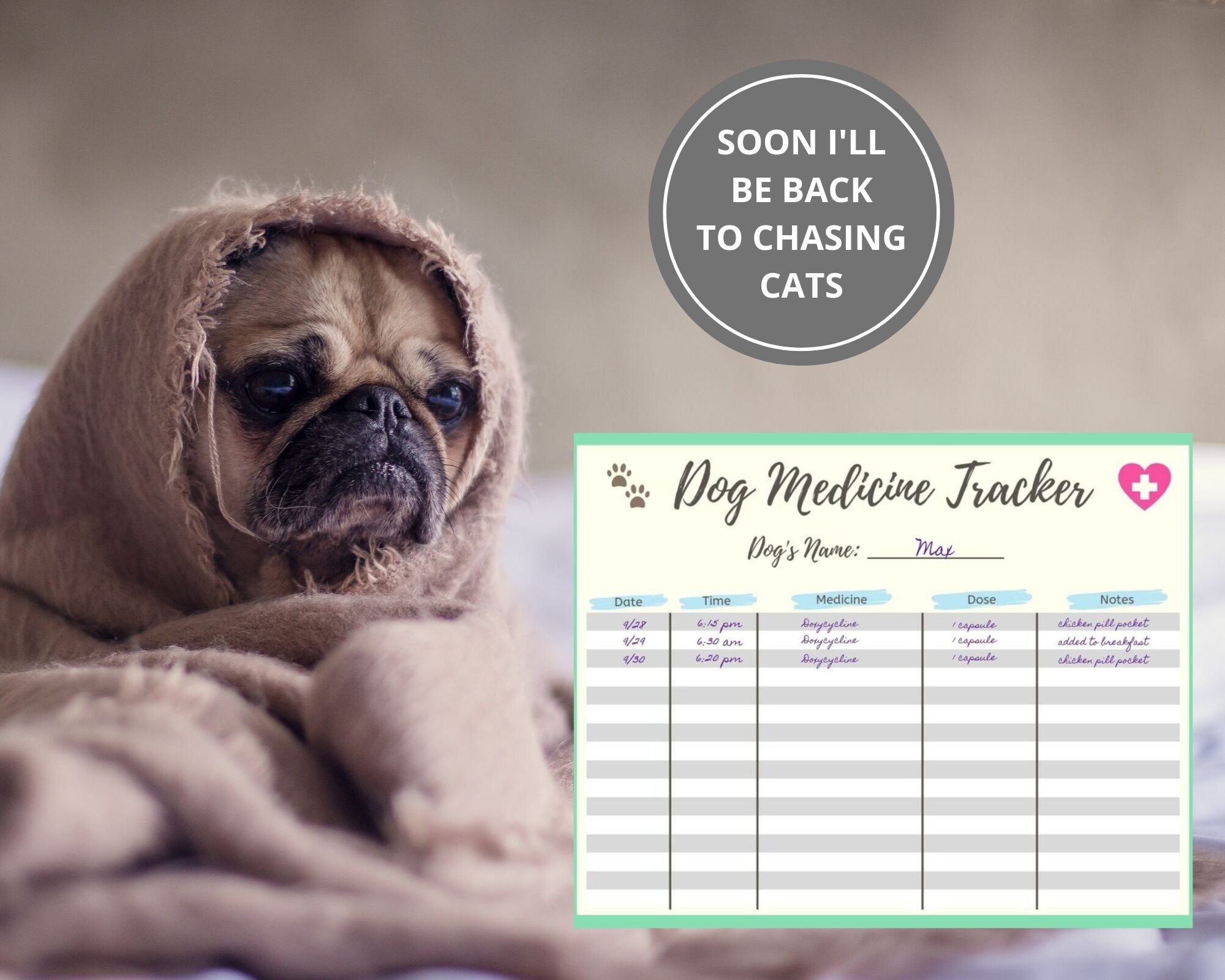 Dog Medicine Tracker Schedule Reminder Log Digital Download Printable ...