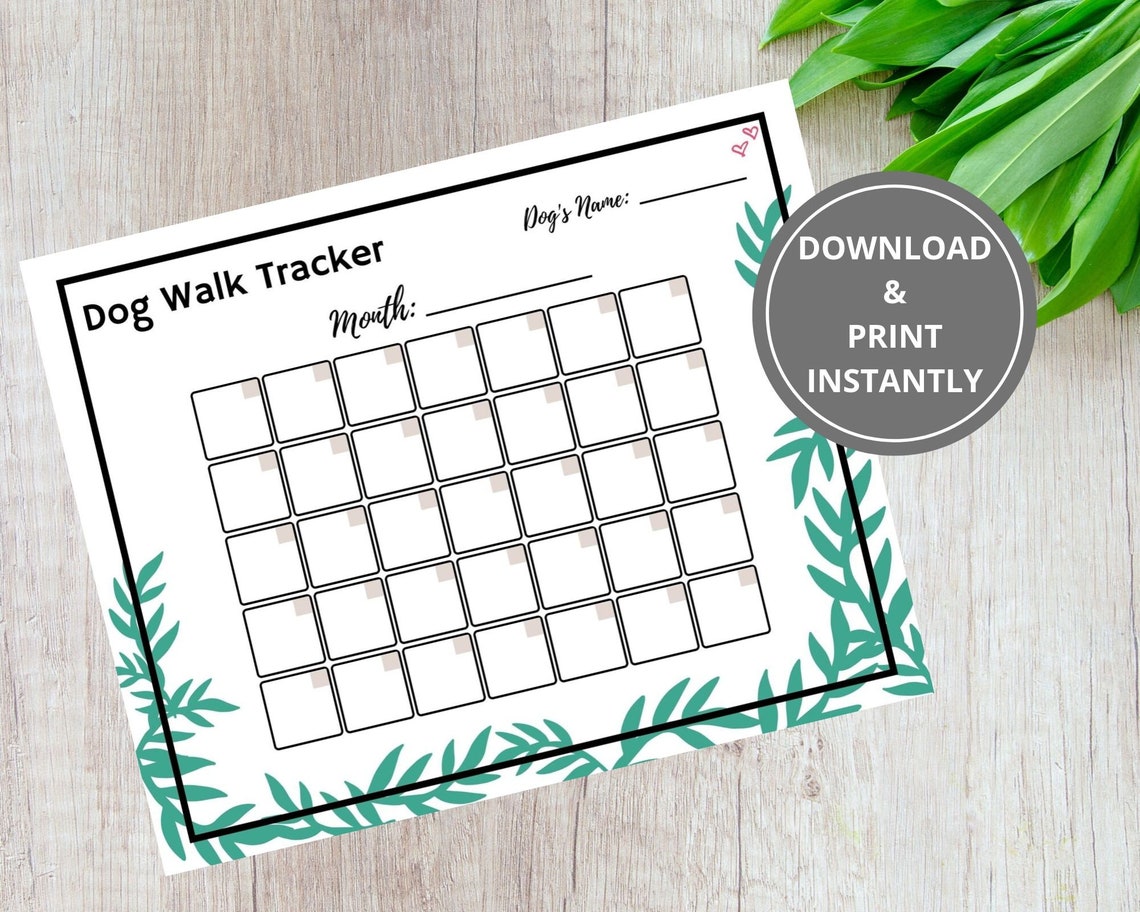 Dog Walk Tracker Digital Download Printable | Dog Schedule Calendar - Etsy