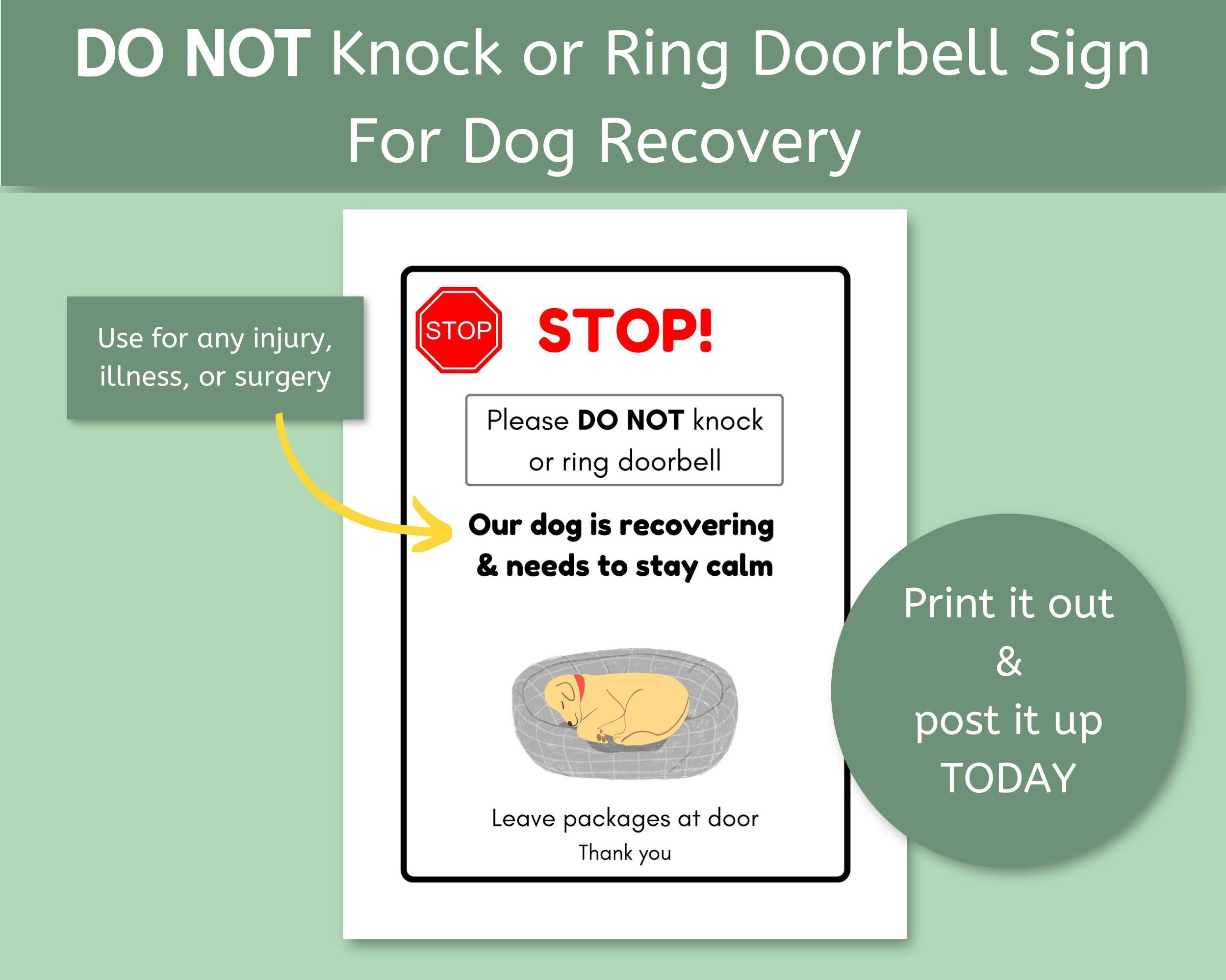 How Do You Knock A Dog Out