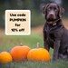 Dogs Are Magic Digital Download Art Print | Printable Dog Quote - Etsy