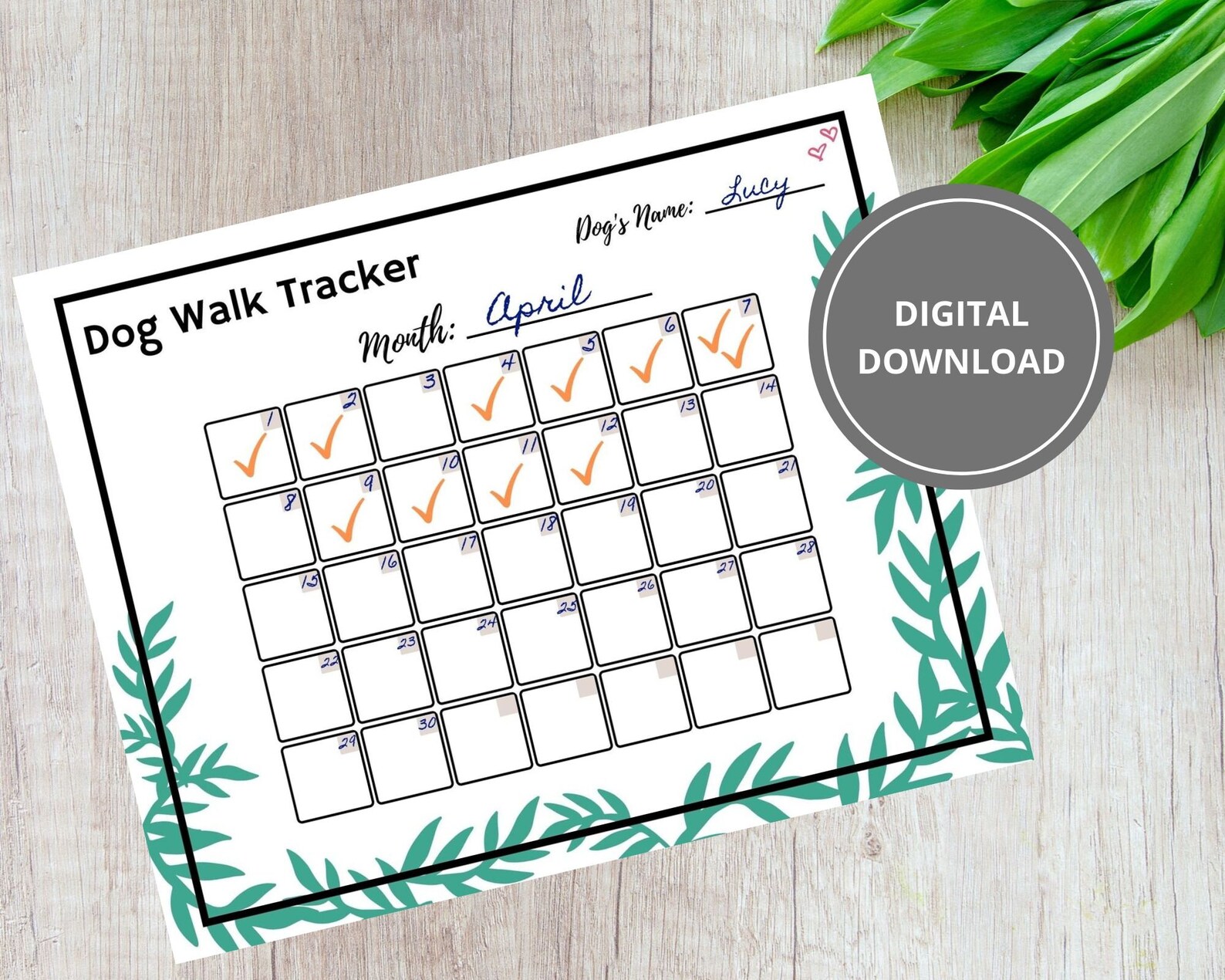 Dog Walk Tracker Digital Download Printable | Dog Schedule Calendar - Etsy