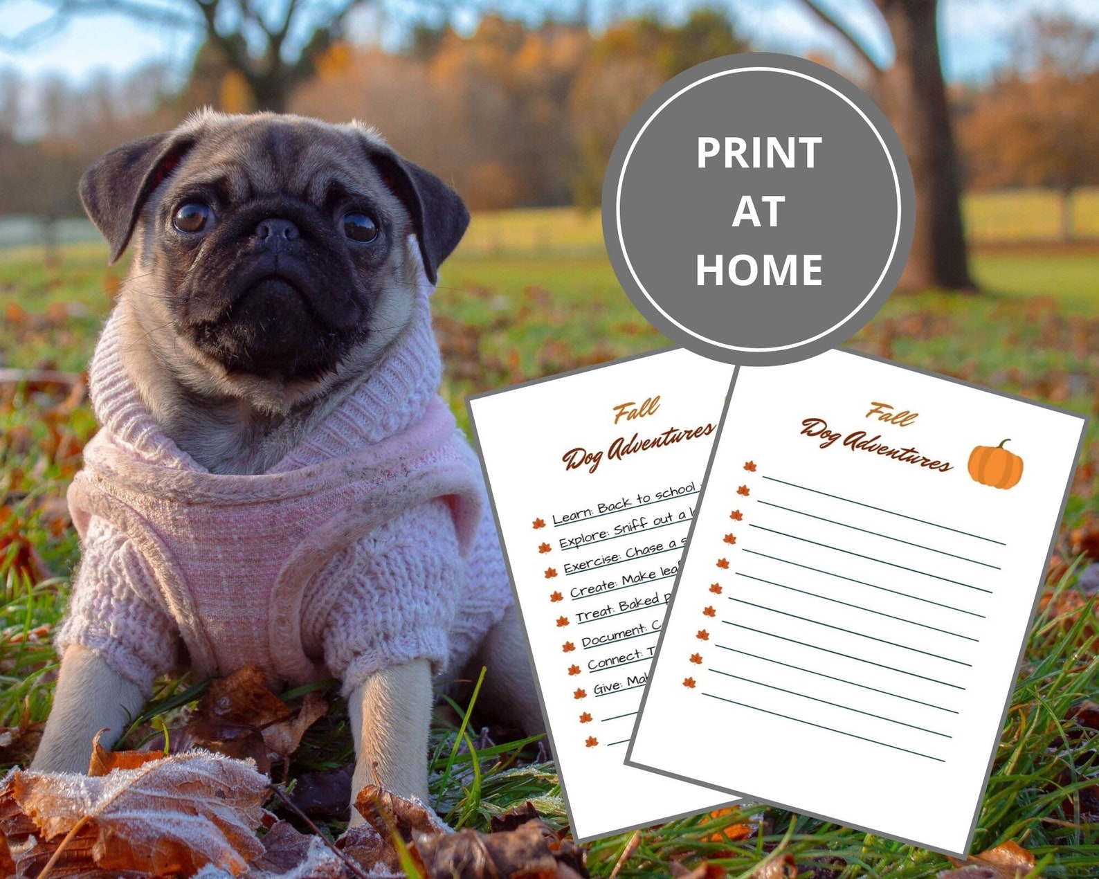 FALL Dog Bucket List Adventure Activities Digital Download | Etsy
