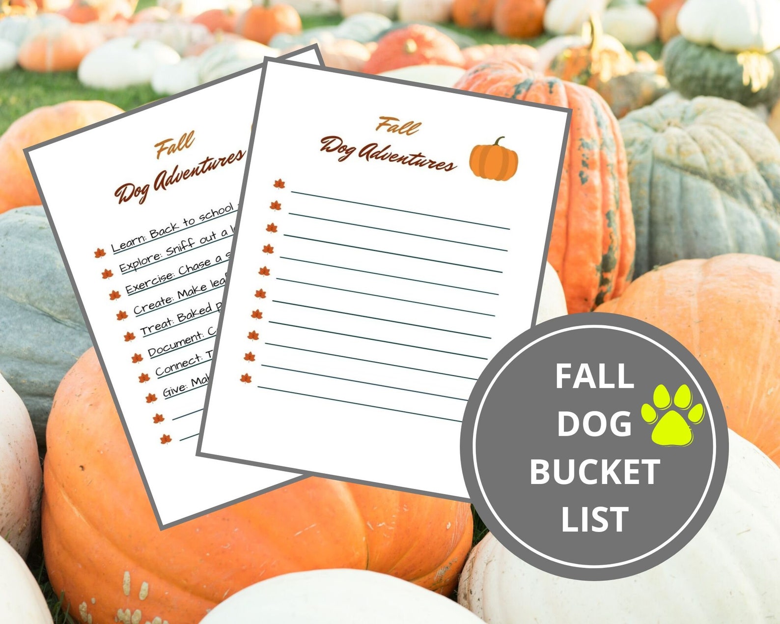 FALL Dog Bucket List Adventure Activities Digital Download | Etsy