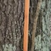 Oak Shepherd's Staff 60" Length. Sometimes Called a Crook or a Stockman ...