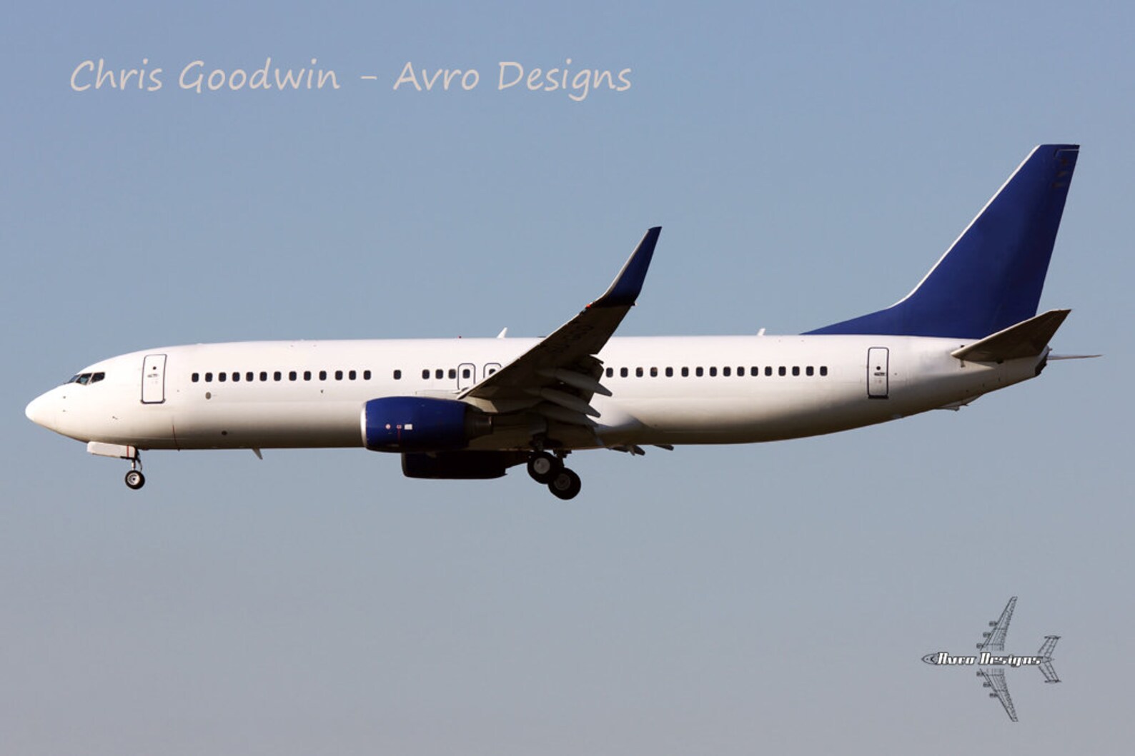 Boeing 737-800 Engine Vane Mounted Large | Etsy Australia