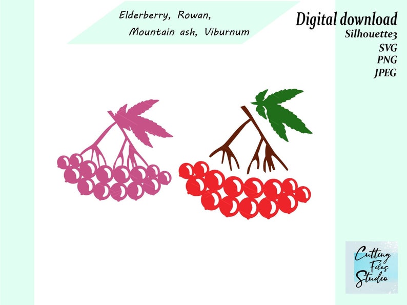 Elderberry Rowan Mountain Ash Viburnum SVG Cut Files, Fall SVG for ...