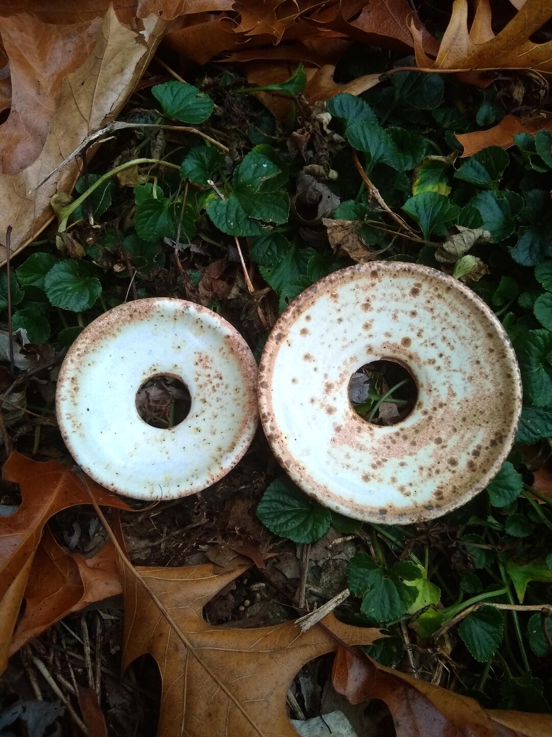 Propagation Plates - Etsy