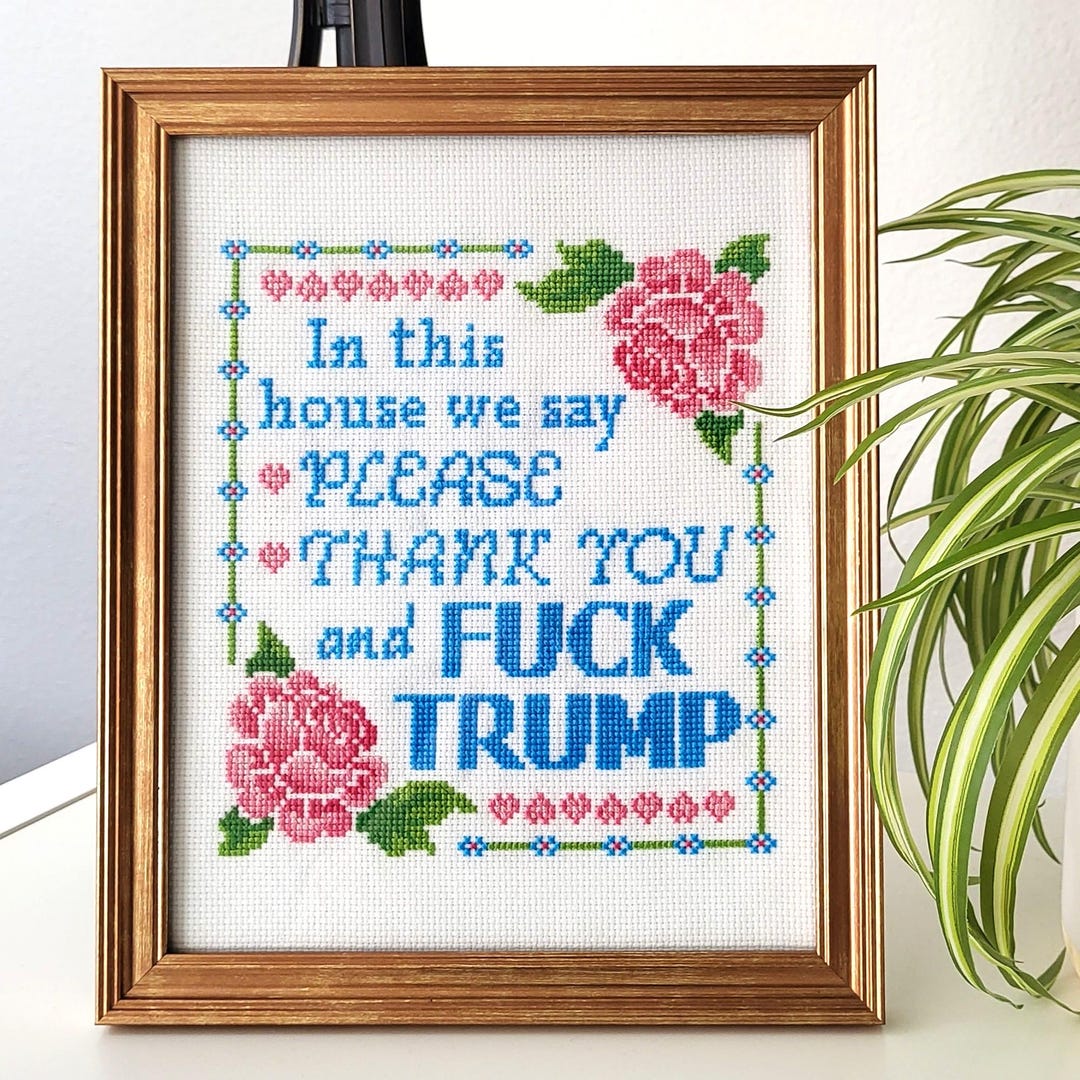 Funny Political Cross Stitch Pattern: in This House We Say (PDF Pattern ...