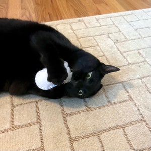 Berry Pie Catnip Filled Cat Toys - Etsy