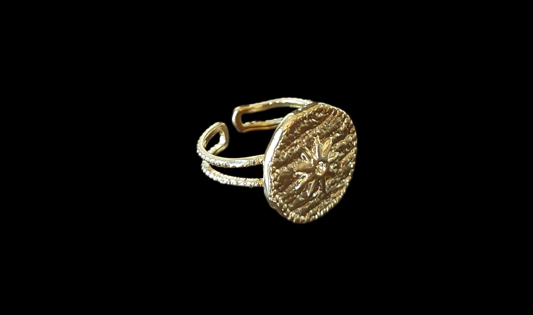 Vergina Sun Macedonian Greek Ring, Ancient Coin Round Jewelry, 24k Gold ...