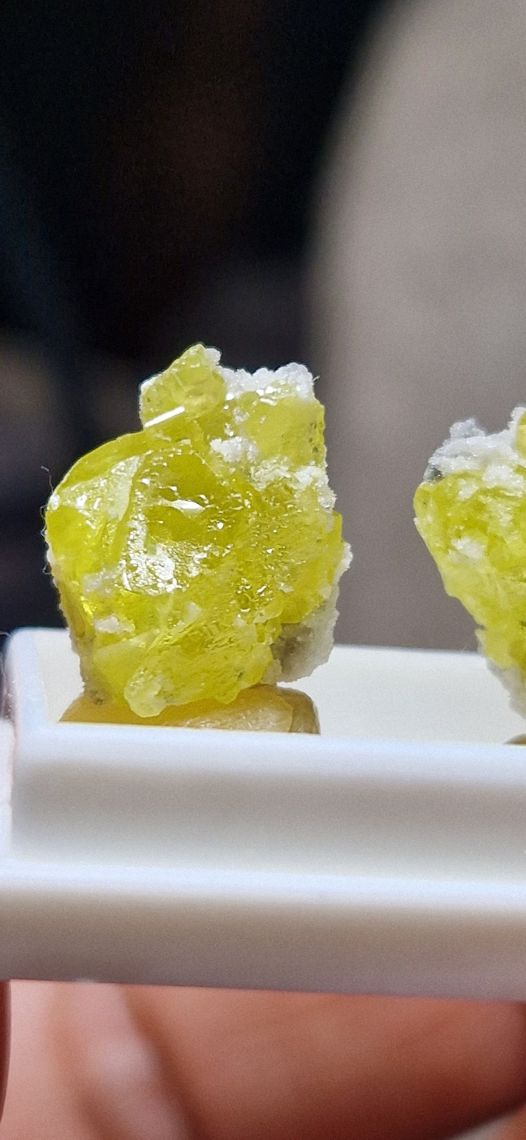 Sulfur Cozzodisi Sicilian Minerals Pair Lot Crystals on Matrix Gem Quality Sicily Italy 2.39 G ...