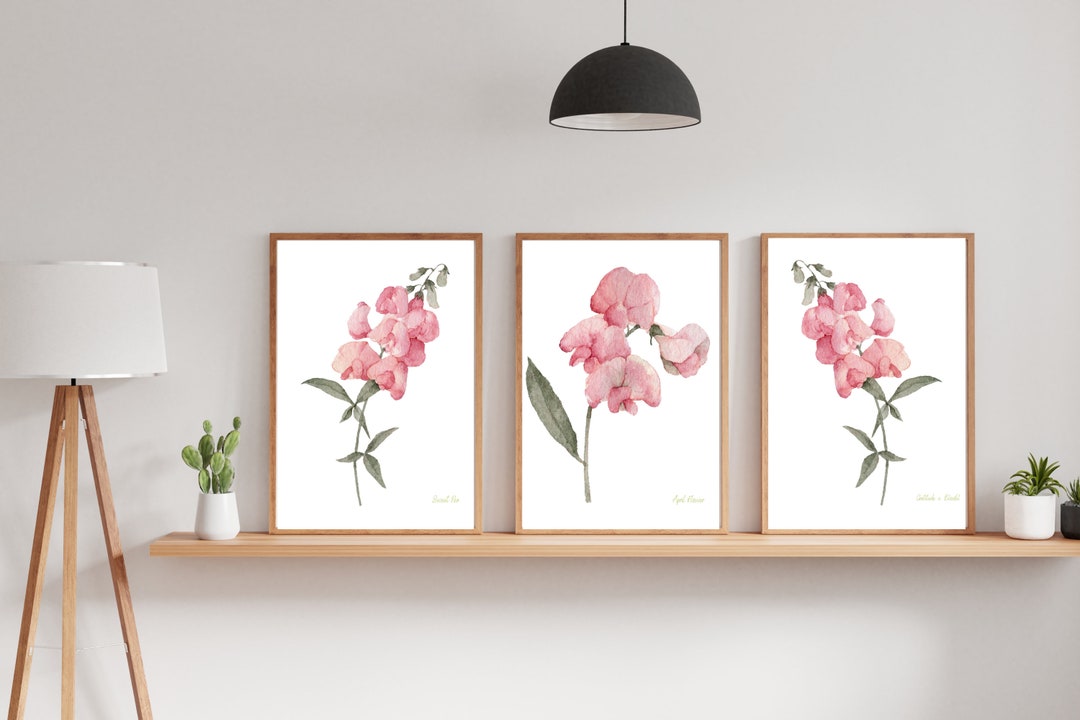 April Sweet Pea Watercolor Flowers Set of 3 Flower Prints Decor, Flower ...