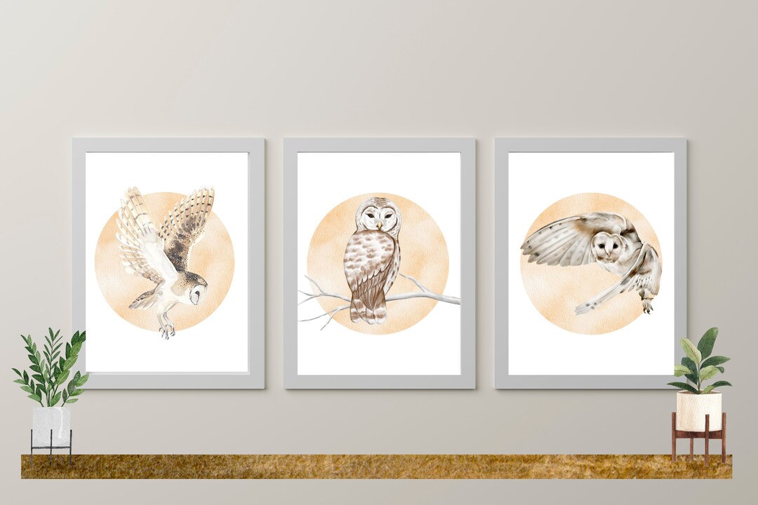 Majestic Barn Owls, Watercolor Digital Owl Prints, Boho Nature Bird ...