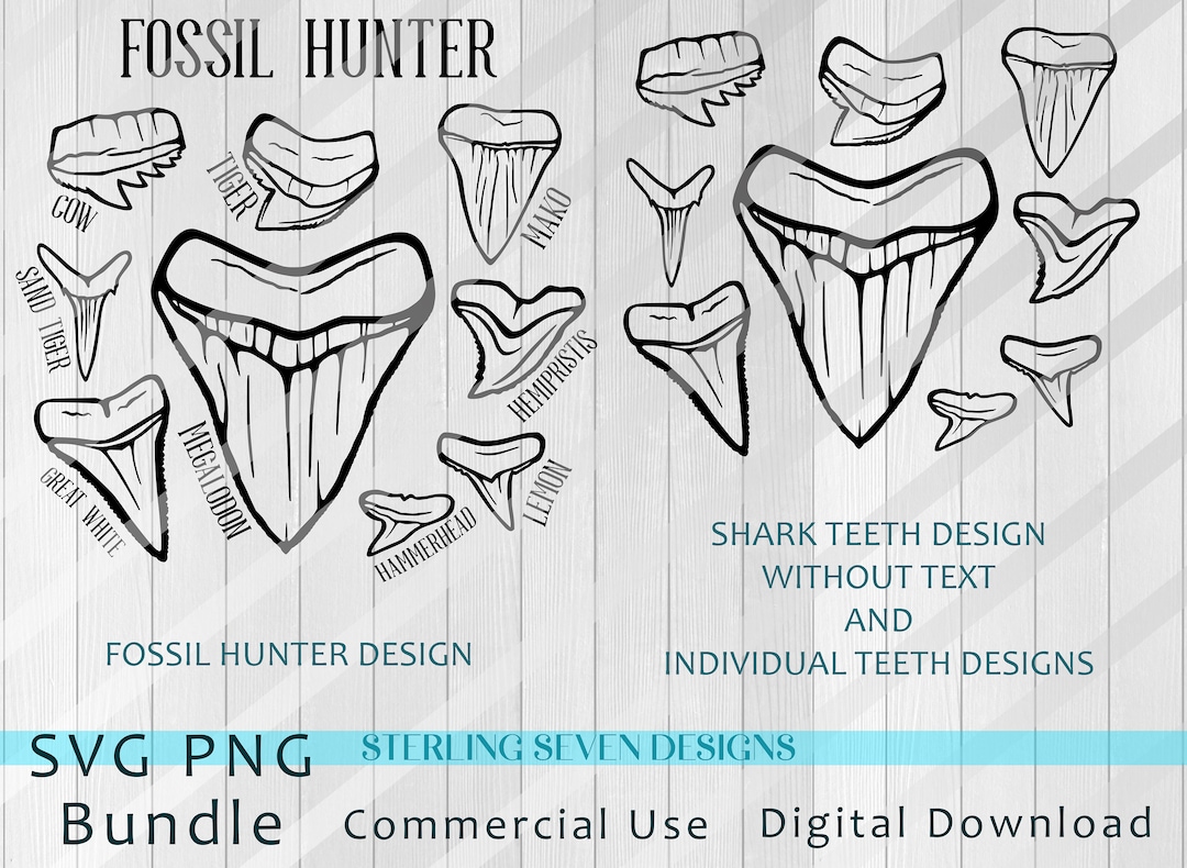 Shark Tooth SVG PNG Bundle, Fossil Hunter Shark Teeth Design, Gift for ...
